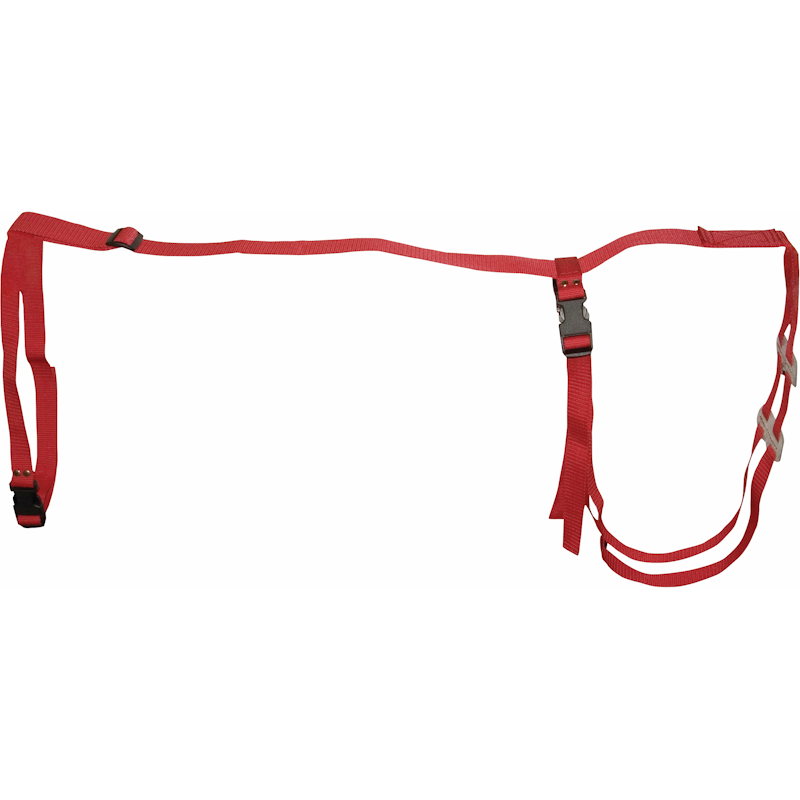 Ewe Prolapse Harness - Sheep Lambing Truss - Connell of Sheffield